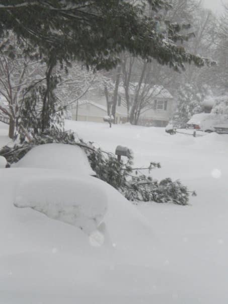 Snowmageddon Hits Region 10 Years Ago: Vienna Reader Photos | Vienna ...