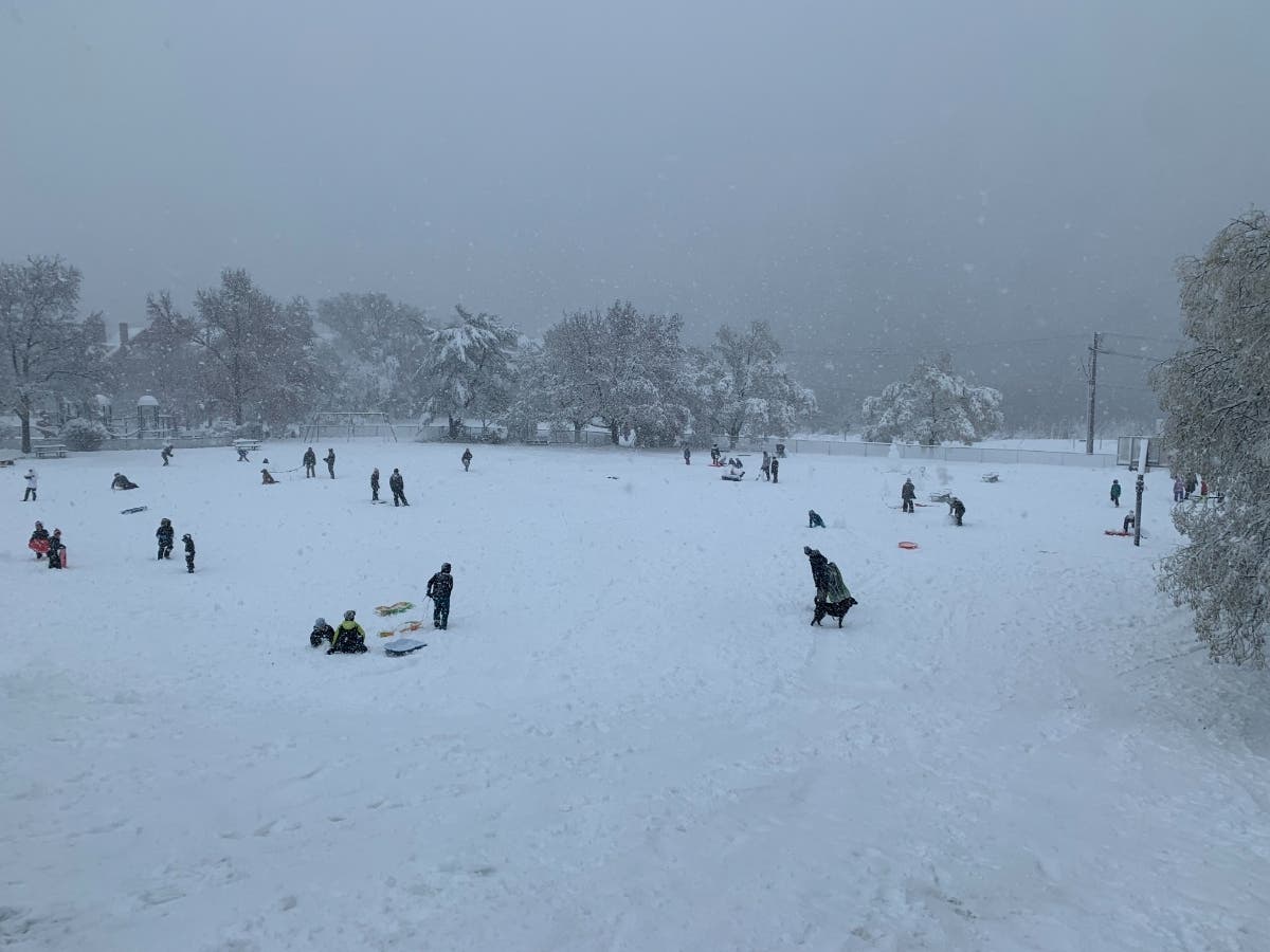 Alexandria: See Jan. 3 Winter Storm Photos, Snowfall Totals | Del Ray ...