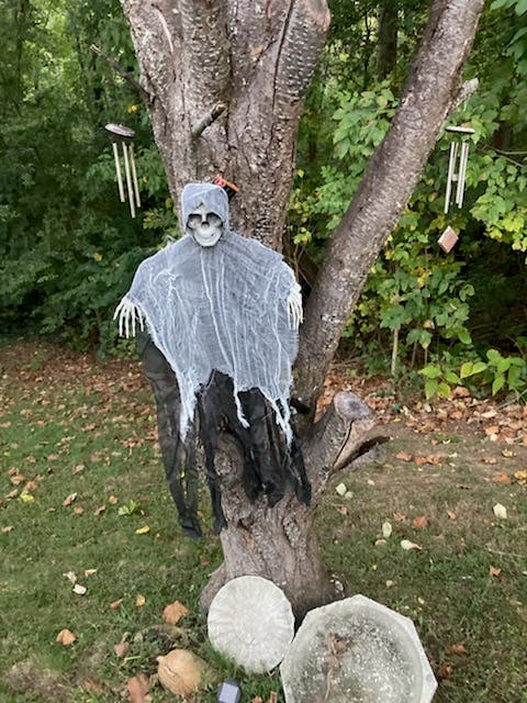 Halloween Displays 2024: Check Out These Spooky Houses Around NoVA ...