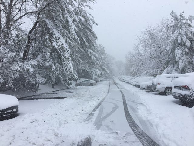 'Rapidly Deteriorating' VA Weather: Heavy Snowfall Prompts NWS Warning ...