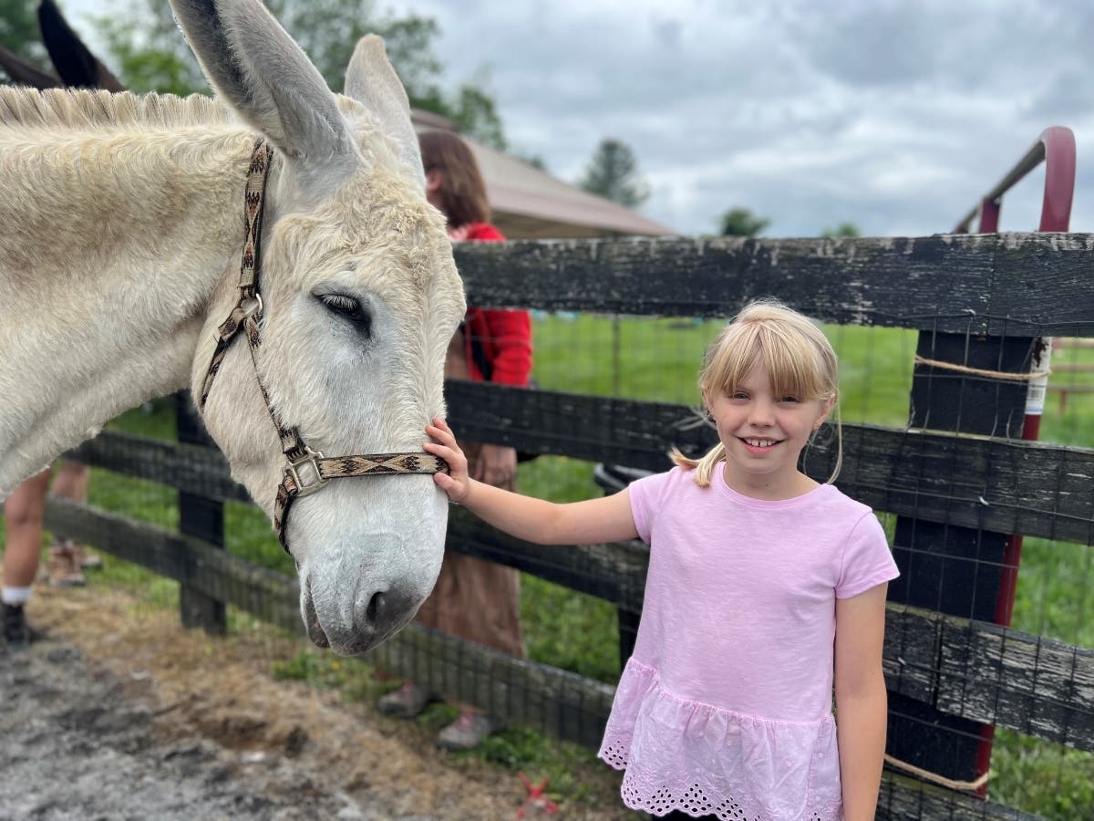 Baby Goats, Donkeys, Strawberries: Loudoun Spring Farm Tour Highlights ...