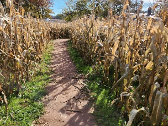 2025 Northern VA Fall Fun Guide: Fall Festivals, Parades, More | Old ...