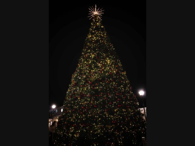 Holiday Tree Lightings 2025: Events Around Ashburn, Loudoun County ...