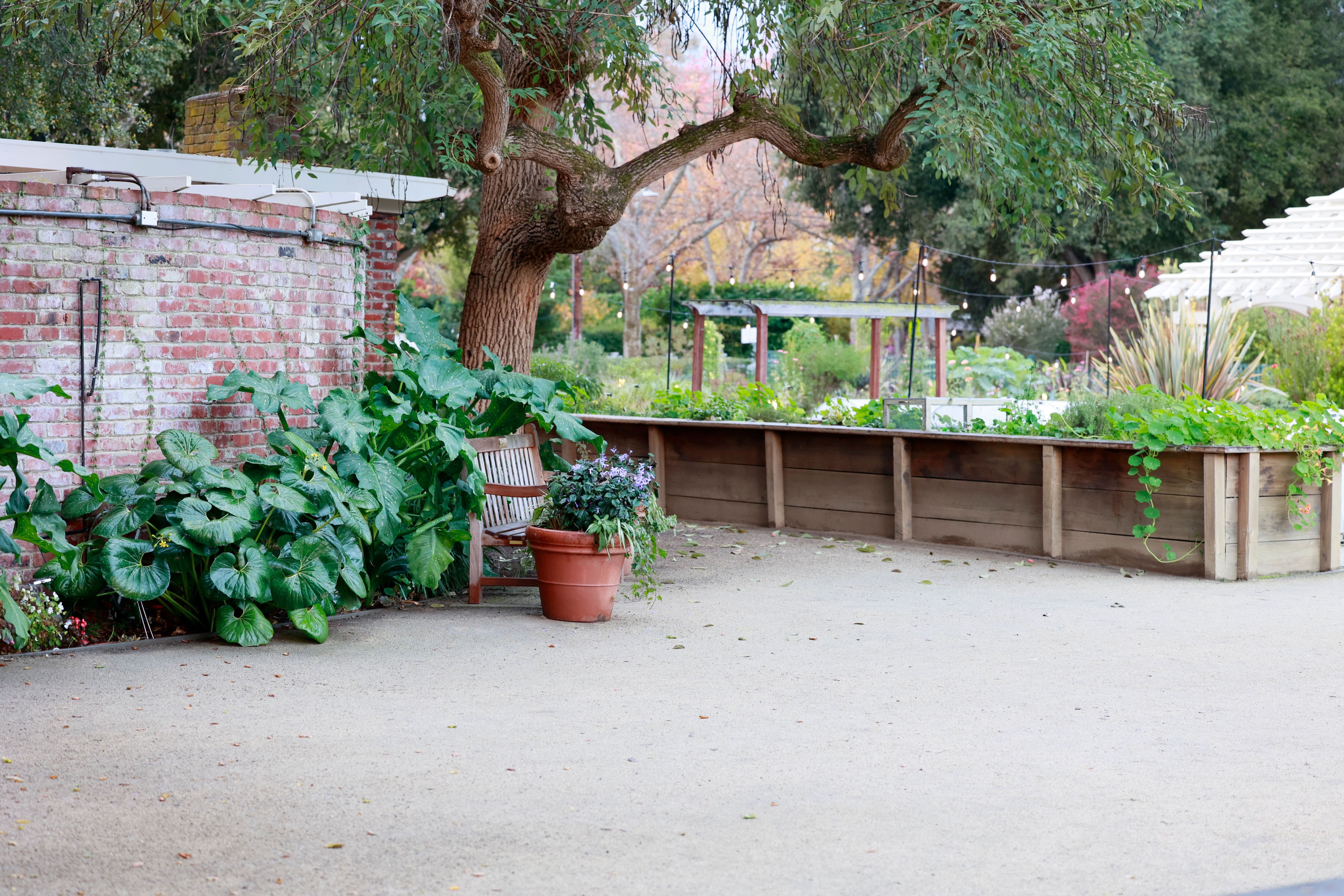 Feb 17 | Public Tour of Elizabeth F. Gamble House & Garden | Palo Alto ...