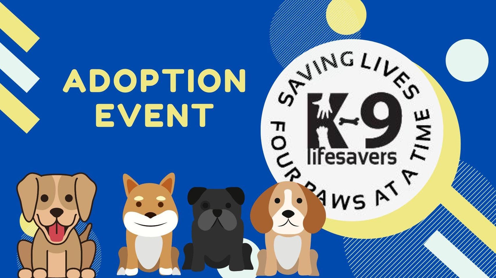Jan 20 | K-9 Lifesavers Dog Adoption Event | Silver Spring, MD Patch