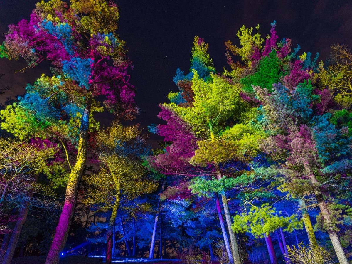 Morton Arboretum Illumination Makes USA Today Top 10 List | Lisle, IL Patch