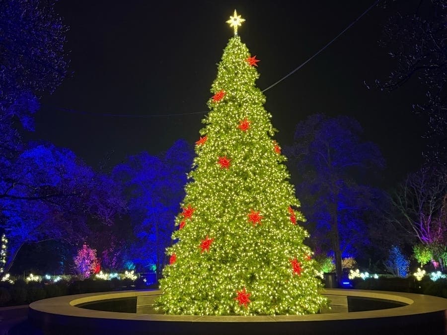 Christmas At Cantigny Opens Nov. 21 With Light Show, Poinsettias, Ice ...
