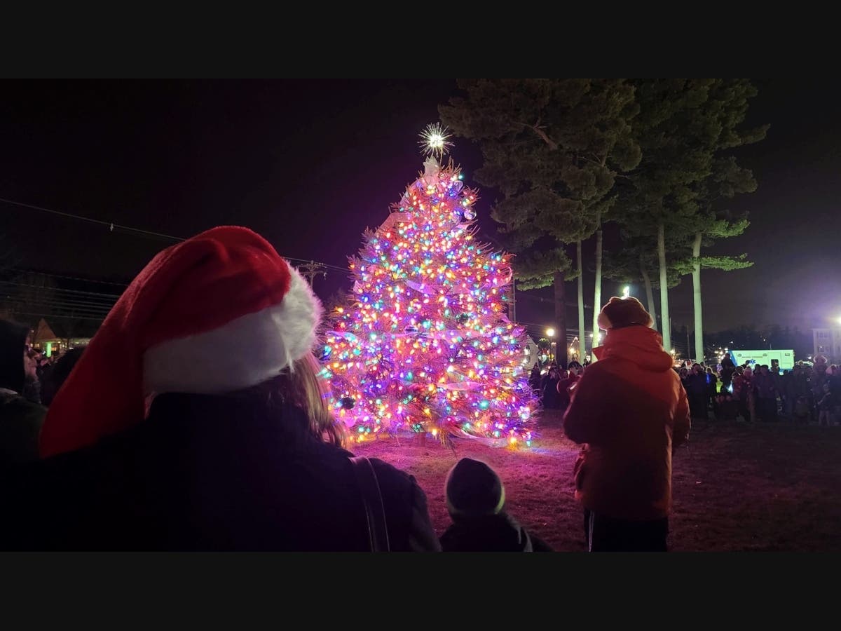 Share Handmade Ornaments Ahead Of 2025 Tree Lighting In Downers Grove ...