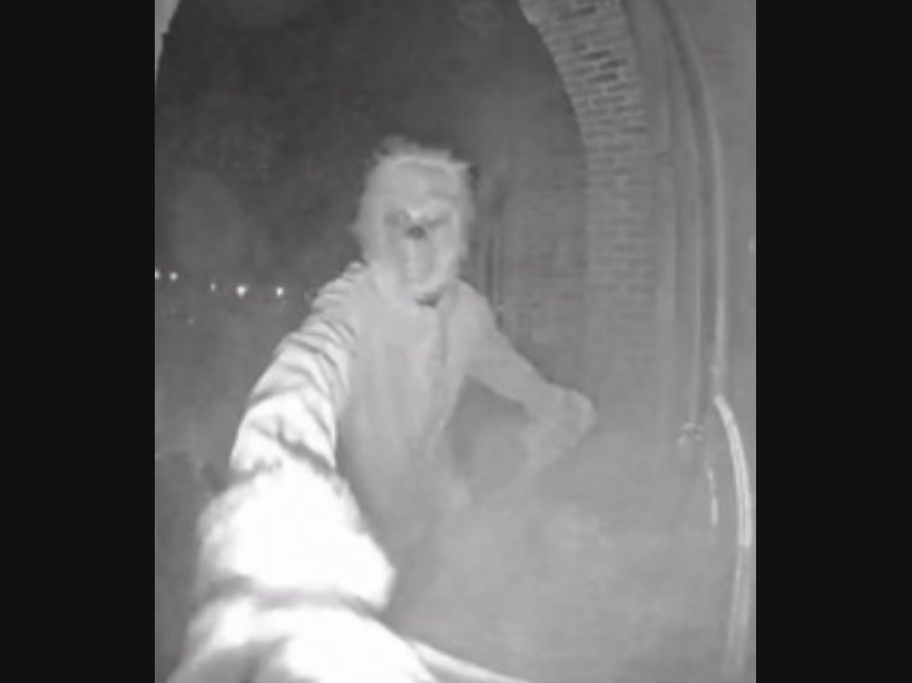 Serial Egg-Throwing Grinch, Accomplices Sought; Reward Offered In ...