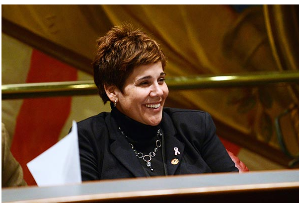 Cullinan's Huge Campaign Donations Not Paying Off In Joliet | Joliet ...