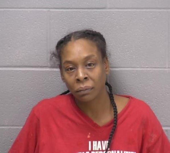 Joliet Cop Punched In Face By Woman On Wilcox Street: Police | Joliet ...