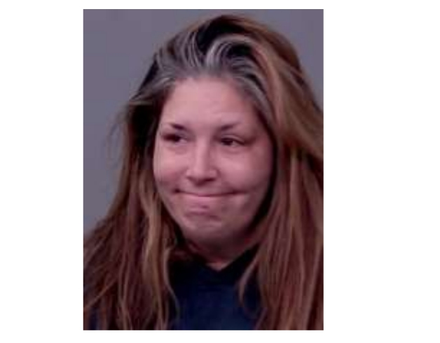 Felony DUI Arrest, Woman Kicks Joliet Police In Leg: Cops | Joliet, IL ...