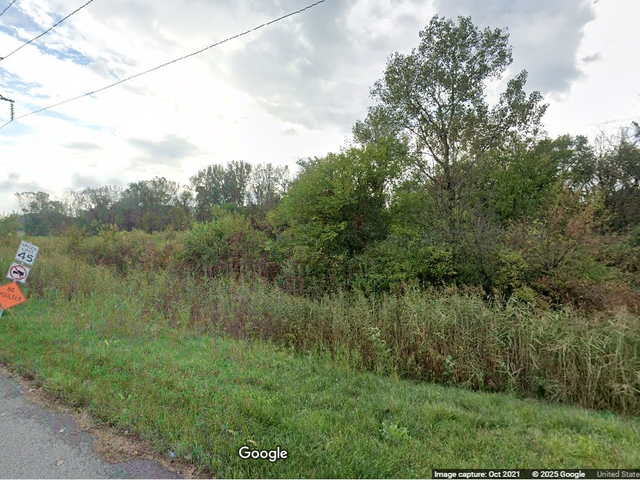 Land Purchase By Will County Forest Preserve: 241-Acre Location May ...