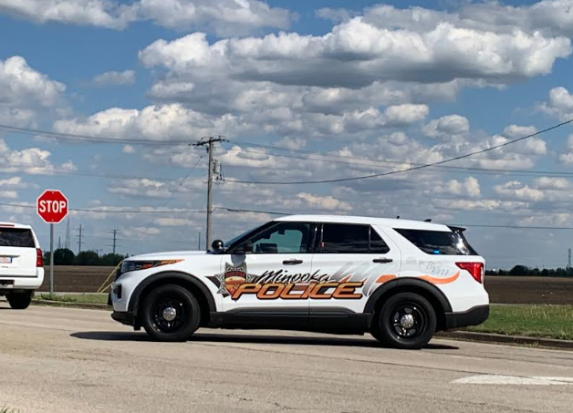 Relative Of Babe's Hot Dogs Owners Badly Beaten In Minooka Subdivision ...