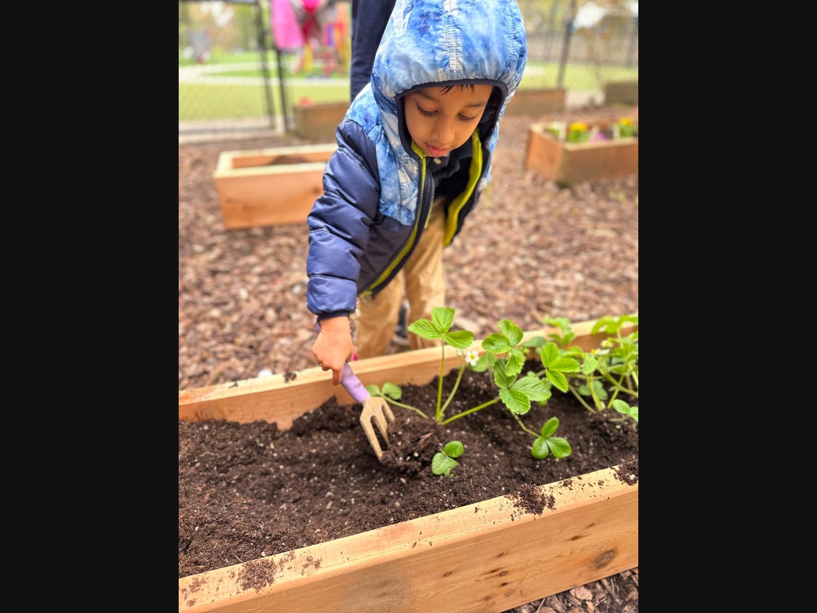 Students at Evergreen Academy Montessori Preschool Celebrate Earth Day ...