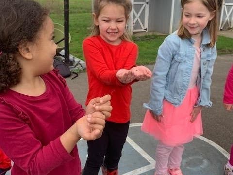 Chesterbrook Academy Students in Limerick Hold Ladybug Release ...