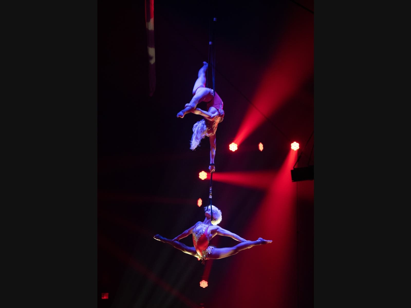 Circus Arts Conservatory raises $400,000 during 25th Anniversary Gala ...