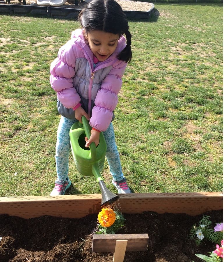 Students at Evergreen Academy™ Preschool in Bothell Plant Gardens ...