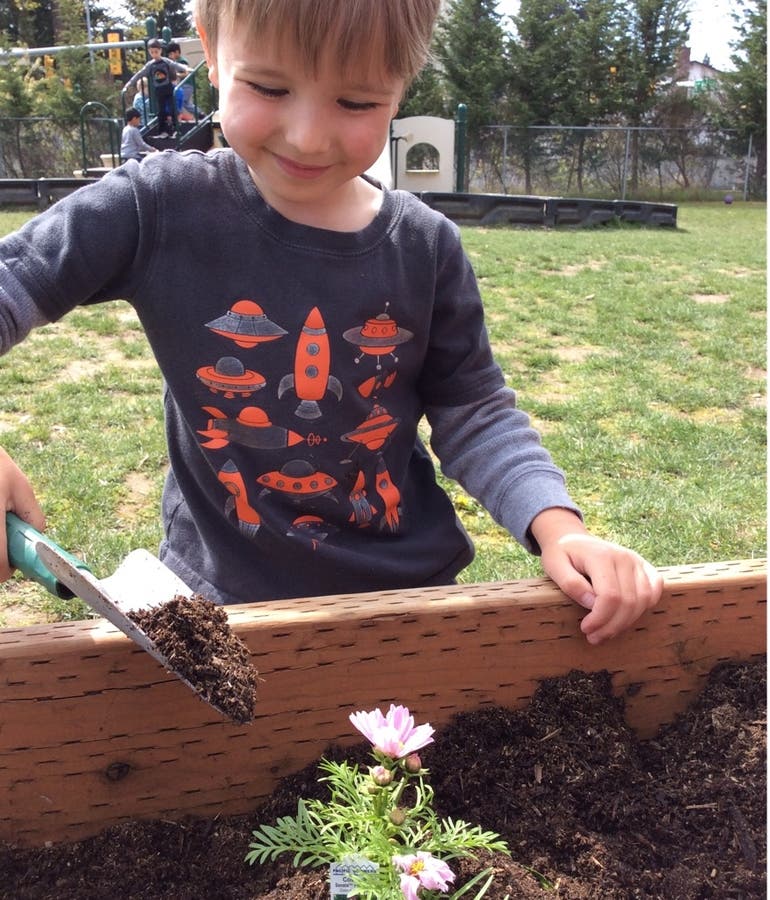 Students at Evergreen Academy™ Preschool in Bothell Plant Gardens ...