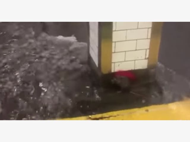 'Flood Rat' Takes Shelter From Subway Deluge In Viral Video | New York ...