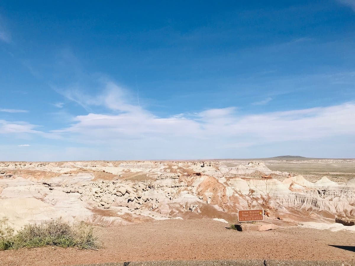 Rare Frog Fossil Shows Ancient Water Life In Arizona | Across Arizona ...