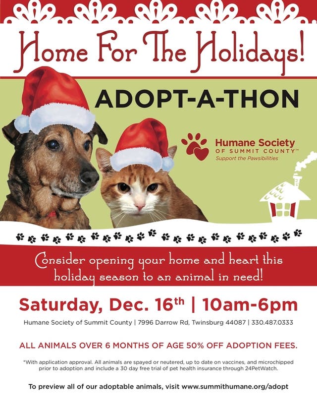 'Home For The Holidays' Pet Adopt-A-Thon Set For Dec. 16 | Twinsburg ...
