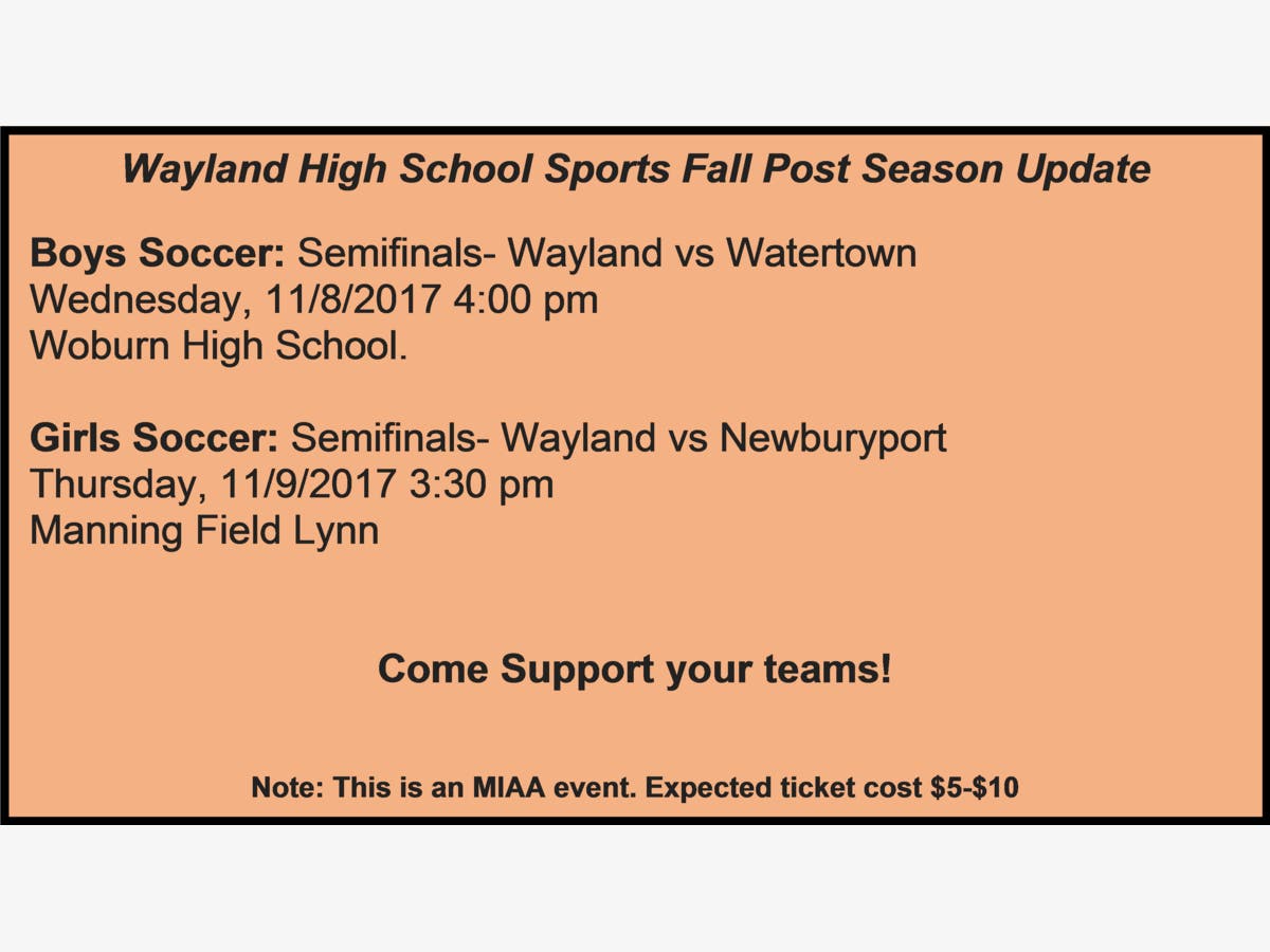Wayland High School Girls Soccer Advance to Semifinals | Wayland, MA Patch