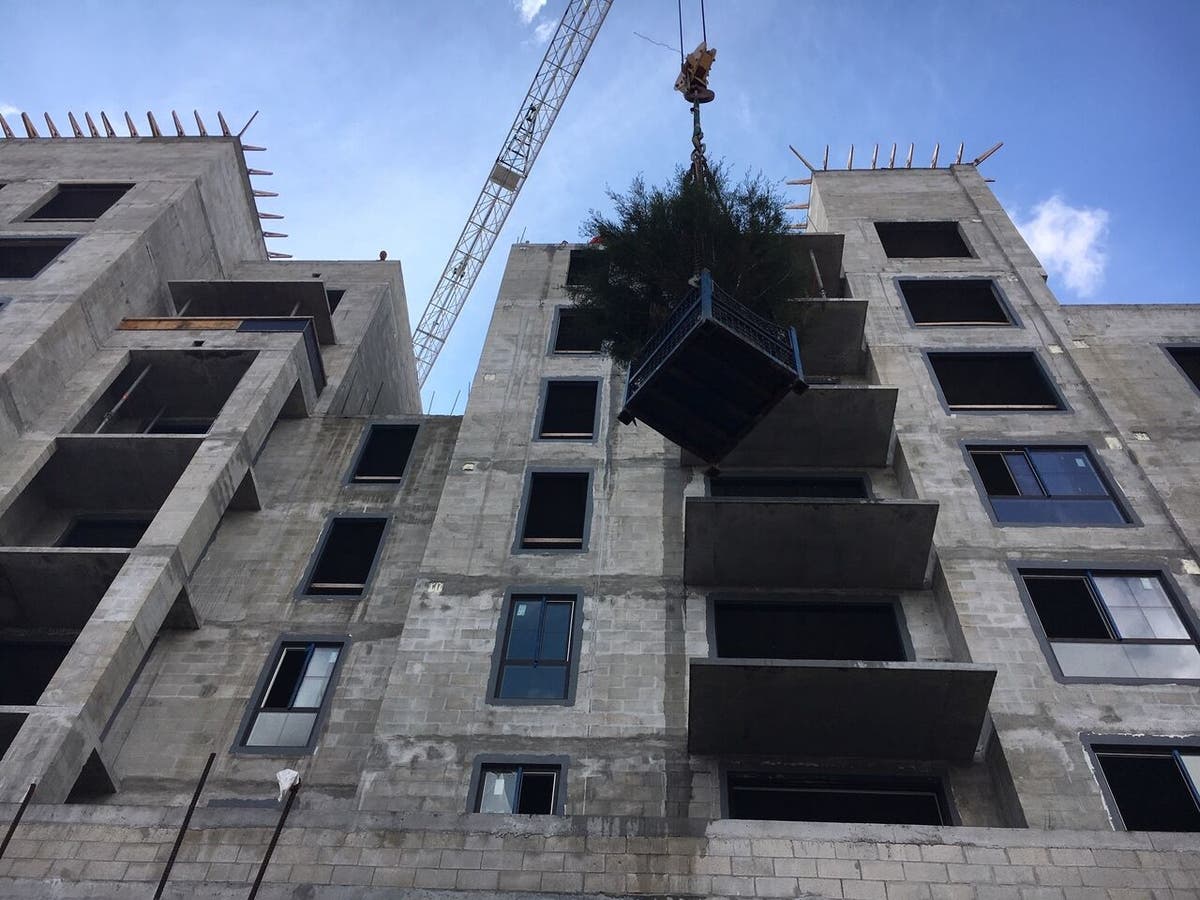 Altman Companies Celebrates Topping-Off Of Altís Grand Central | Tampa ...