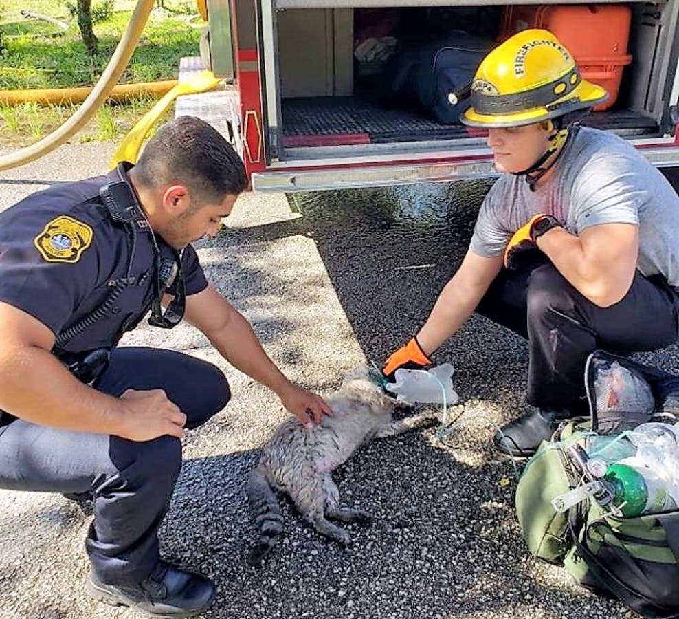 Photos: Some Reasons To Appreciate Tampa's First-Responders | Tampa, FL ...