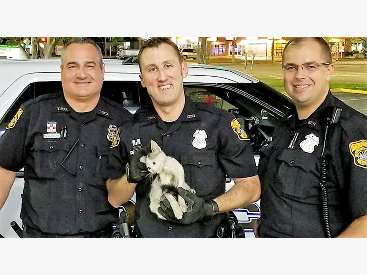 Photos: Some Reasons To Appreciate Tampa's First-Responders | Tampa, FL ...
