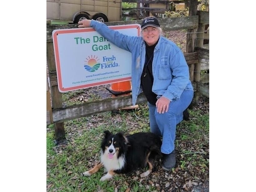 Saved By Owner Who Perished In Fire, Dog Finds New Home On Farm | Tampa ...