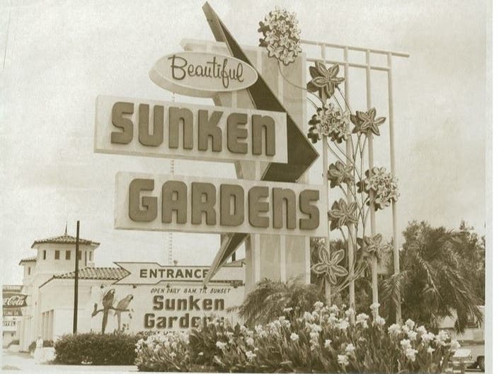 Sunken Gardens Celebrates 100 Years As Roadside Attraction | St. Pete ...