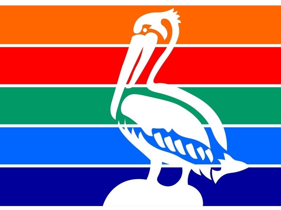 Unofficial City Bird Brown Pelican Now Official St. Pete Mascot | St ...