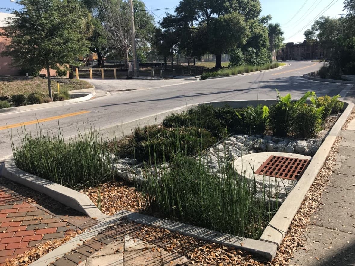 Take A Look At Ways Tampa Is Going Green To Manage Stormwater | Tampa ...
