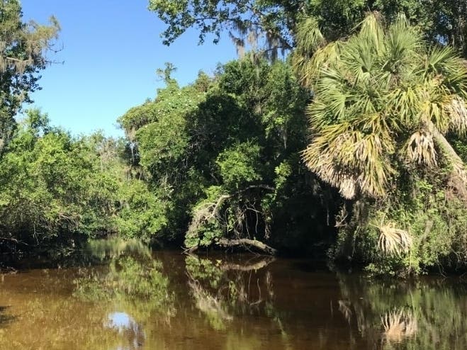 Flood Warning Issued For Little Manatee River In South Hillsborough ...