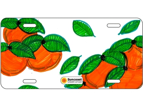 Kids Tag Art Winners Announced By Hillsborough Tax Collector | Tampa ...