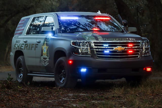 Harley Is Newest Member Of Pasco Sheriff's K-9 Unit | New Port Richey ...
