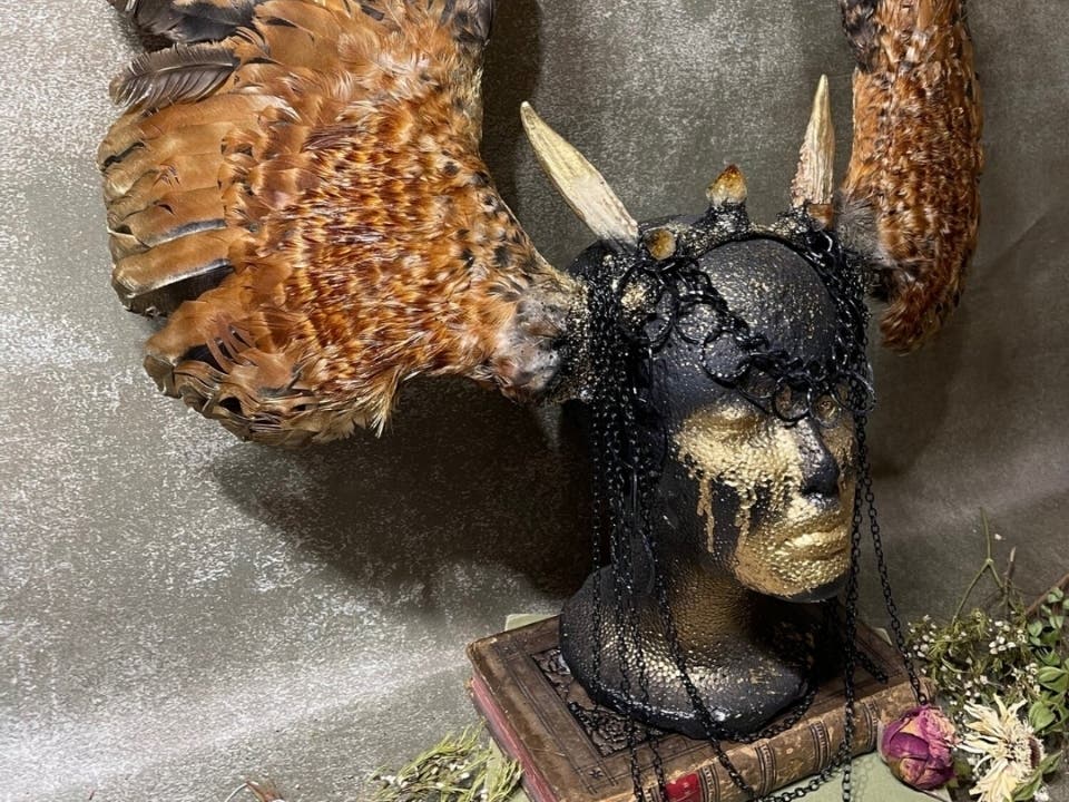 All That Is Creepy, Weird, Bizzare Featured At Oddities Expo In Tampa ...