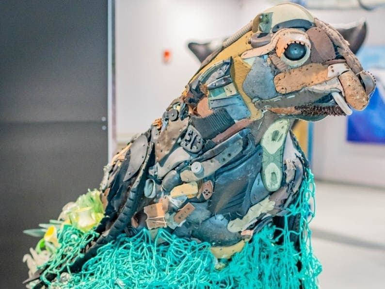 Clearwater Marine Aquarium Unveils International, Community Artwork ...