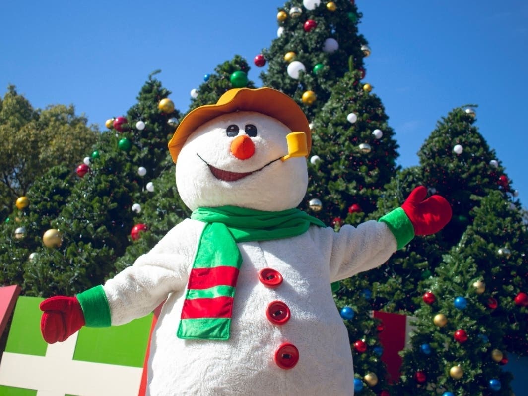 ZooTampa's Christmas In The Wild Celebrates Holidays Among The Animals ...