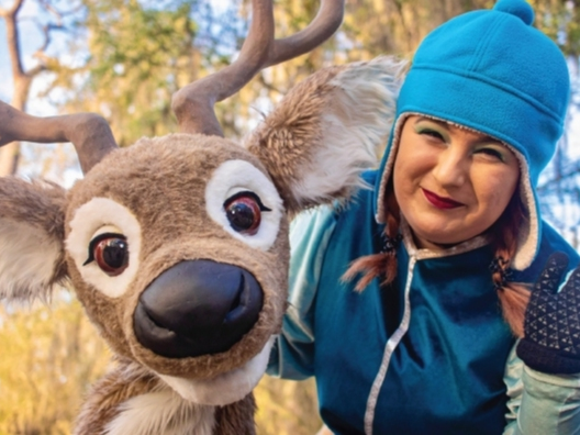 ZooTampa's Christmas In The Wild Celebrates Holidays Among The Animals ...
