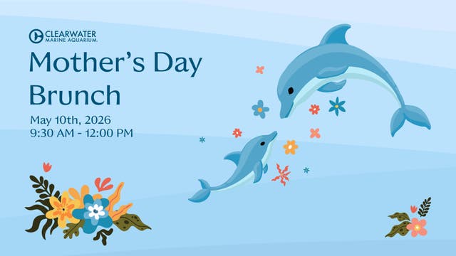 May 10 | Treat Mom to a Memorable Mother’s Day Brunch at Clearwater ...