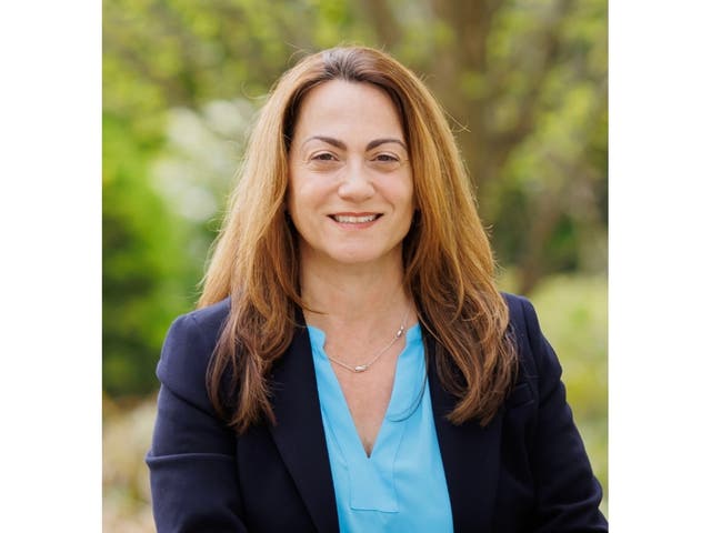CT Patch Candidate Profile: Savet Constantine For State Rep | Wilton ...
