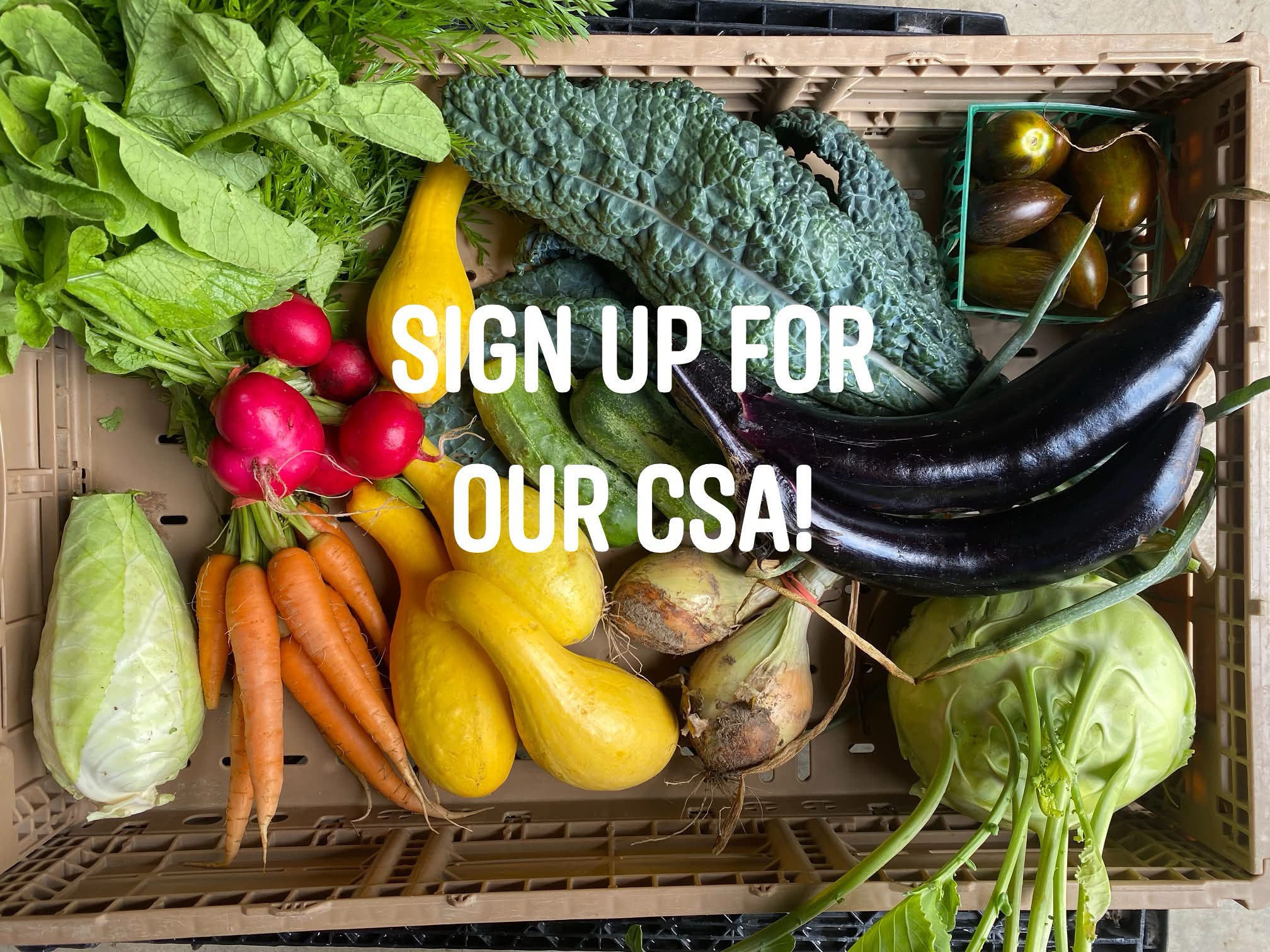 Mar 15 | Join your local CSA (veggie box)! | South Brunswick, NJ Patch