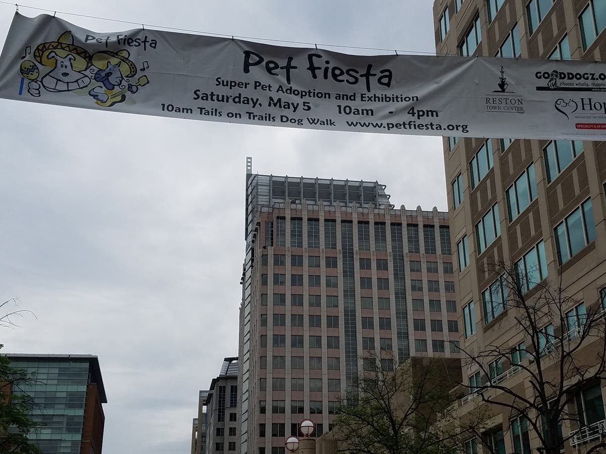 Pet Fiesta Held in Toxic Environment | Reston, VA Patch