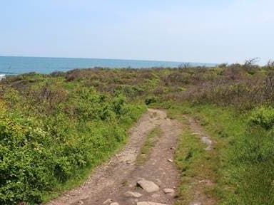 Environmental Officials To Begin Improving Black Point In Narragansett ...