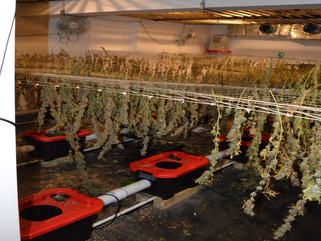 8 Arrested In 'Elaborate Marijuana Grow Operation': RI State Police ...