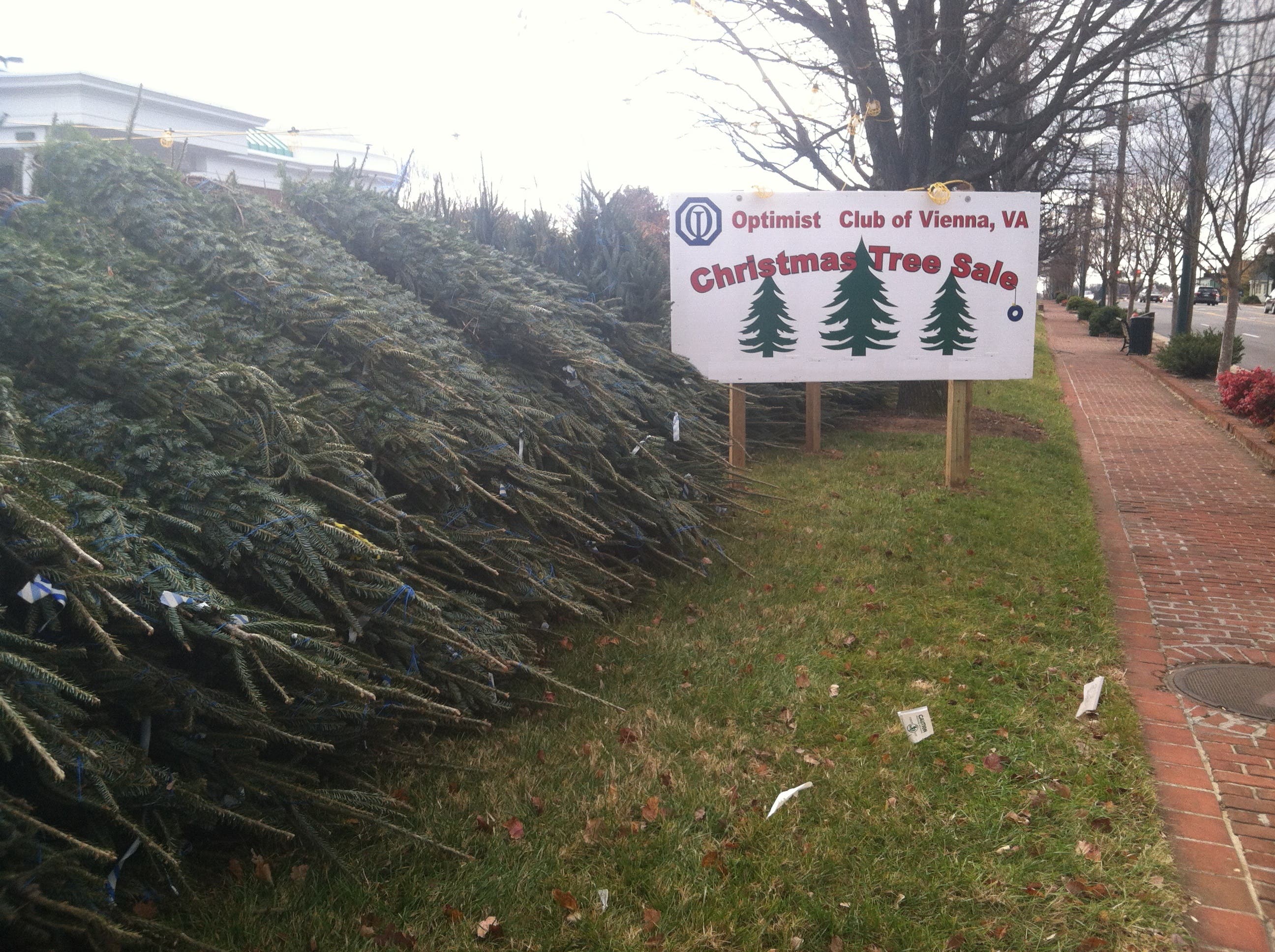 Nov 30 | Christmas Tree Sale (Optimist Club of Greater Vienna) | Vienna ...