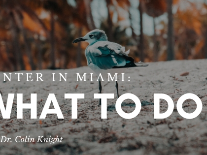 What To Do During Winter Time in Miami by Dr. Colin Knight | Miami, FL ...