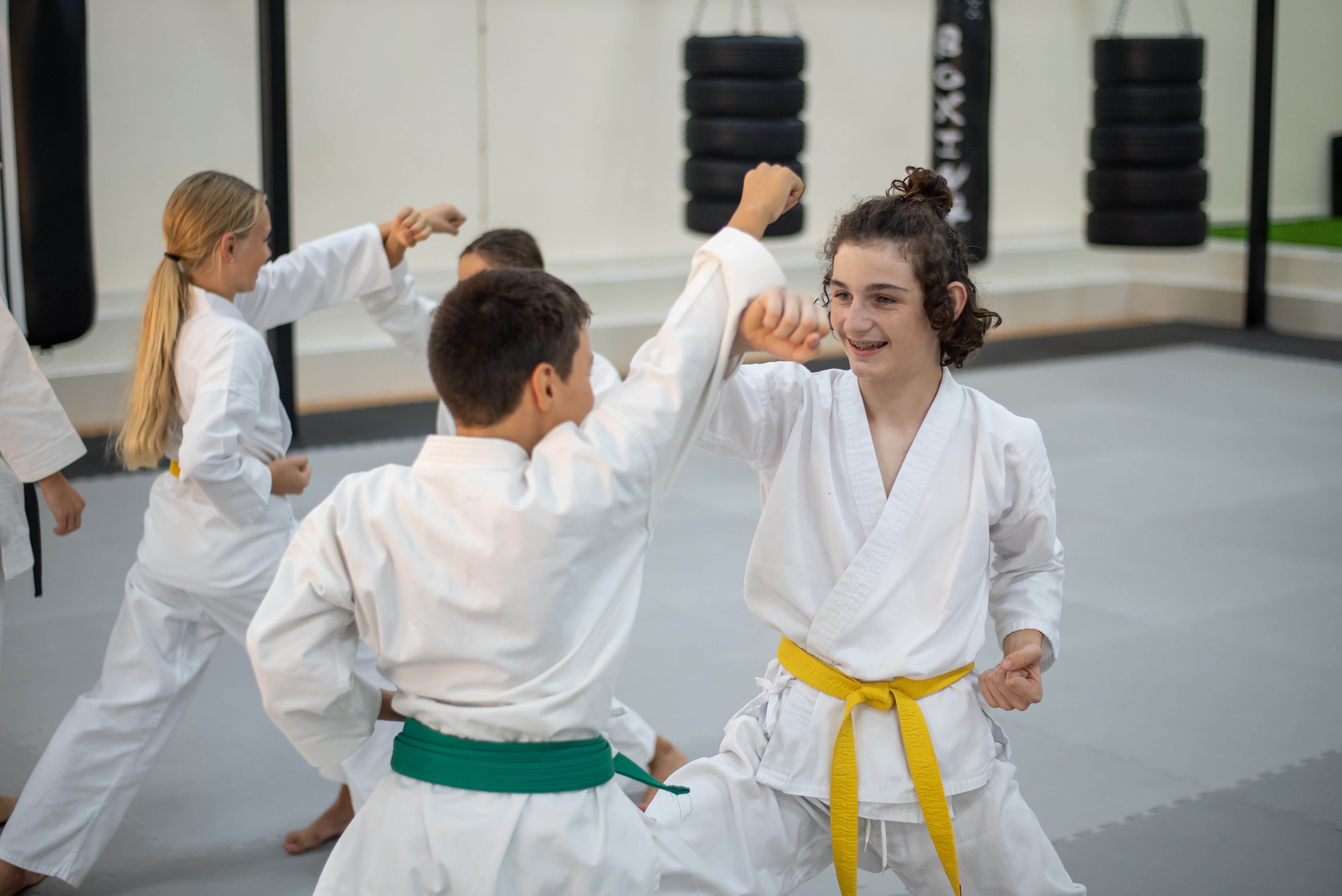 Apr 1 | Champion Youth Karate: Beginners (ages 5-12) | Apple Valley, MN ...